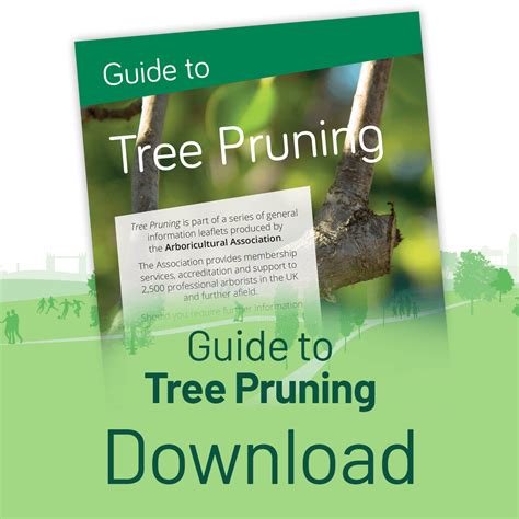 Arboricultural Association Guide To Trees And The Law