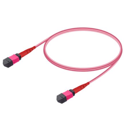 MTP To MTP Patchcords Reliable Fiber Optic Connections