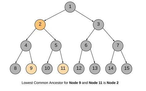 Dfs Recursive Solution To Find Lowest Common Ancestor Lca Of A Binary Tree By Amarjit