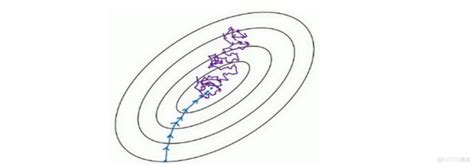 Lm算法优化神经网络 神经网络中的优化算法mob64ca1419e0cc的技术博客51cto博客