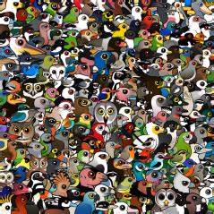 Birdorable Ts With Huge Crowd Of Cute Birds Species