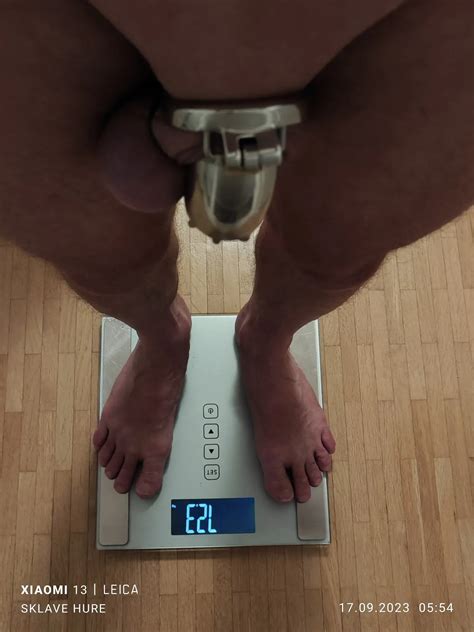 Weighing Cage Check Plug Check 09172023 16 Nude Pics Xhamster Weighing Cage Check Plug Check 09172023 16 Nude Pics Xhamster