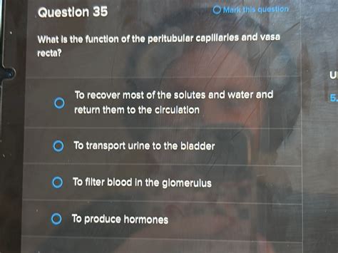 What Is The Function Of The Peritubular Studyx
