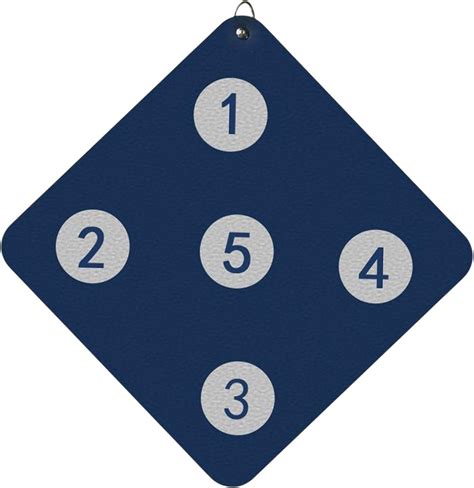 Buy Yiju Fencing Target Auxiliary Tool Pu Leather 33 X33cm With Five Training Equipment Fencing