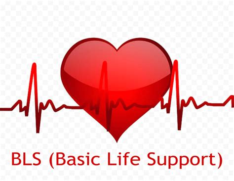 Bls Cpr For Healthcare Providers Class