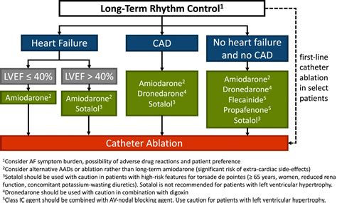 Atrial Fibrillation Cardio Guide
