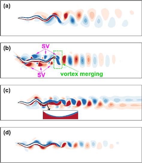 Instantaneous Vorticity Contours Ranging From −4 Blue To 4 Red