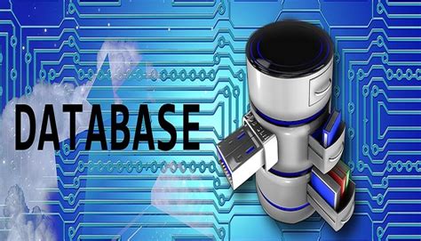 the importance of sql and business databases