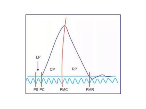 Properties Of Skeletal Muscle Pptx