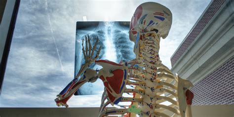 A Guide To Implementing Queue Management Systems Qminder