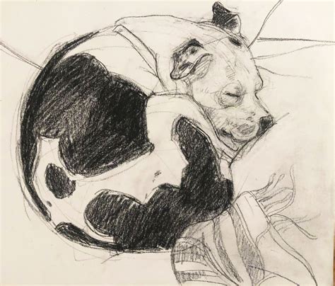 Elizabeth Reagh Works On Paper Observational And Representational Drawings