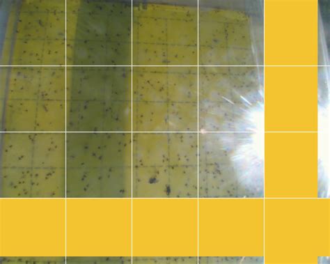Yellow Sticky Card Splitting Approaches A Ods Approach B Oss Download Scientific Diagram