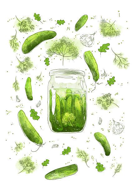 Dill Pickle Illustrations Royalty Free Vector Graphics And Clip Art Istock