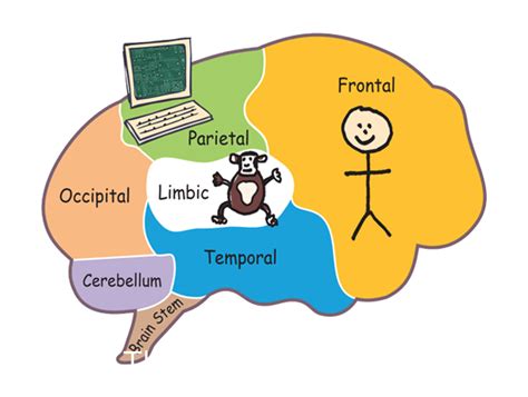 Chimp Management Chimp Management