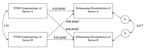 Graphical Presentation Of The Apim With Standardized Parameter