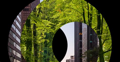 Focusing On Sustainable Value Deloitte Global