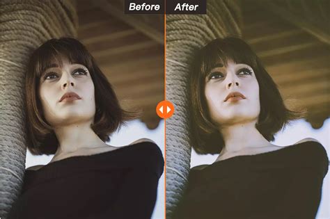 Age Gender Swap AILab Tools