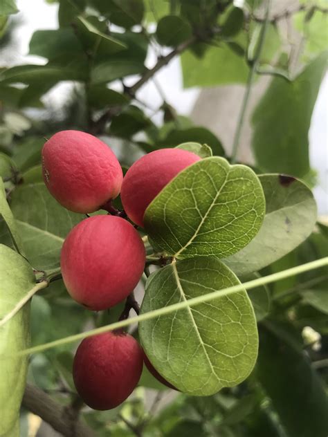 Shahabuddin Pathan On Linkedin All Beauty Are Not Happy They Have Their Own Needs