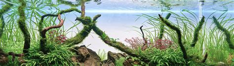 Aquaview