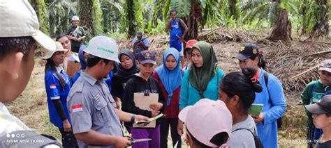 Kegiatan Simulasi Lsu Leaf Sampling Unit Bersama Tim Randd Agronomi Kpu