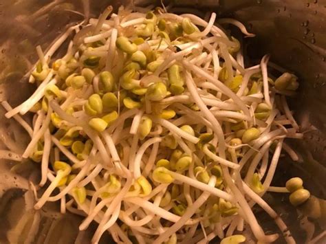 你真會做韭香黃豆芽炒肉絲這種調味品你放對了嗎難怪不香 每日頭條