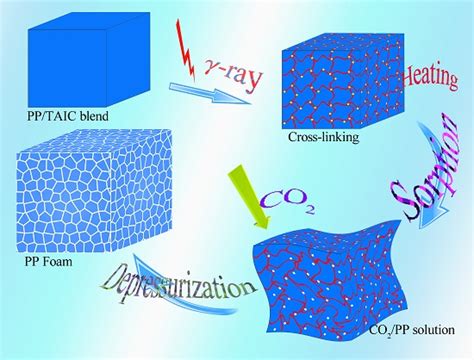 Molecules Free Full Text Supercritical Co2 Foaming Of Radiation Cross Linked Isotactic
