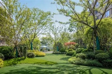 Pin By Vu Thi On TREE SHRUBS Landscape Design Landscape Design Plans Planting Layout