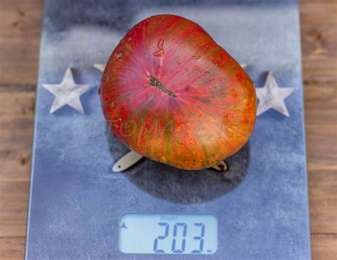 МАЛИНОВАЯ НЕРКА Dwarf Crimson Sockeye — BTomate