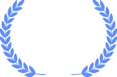 UX UI Design Captus Technologies