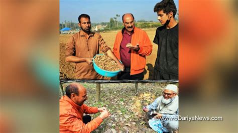 Director Agriculture Chowdhury Mohammad Iqbal Visits Saffron Areas Of Pampore
