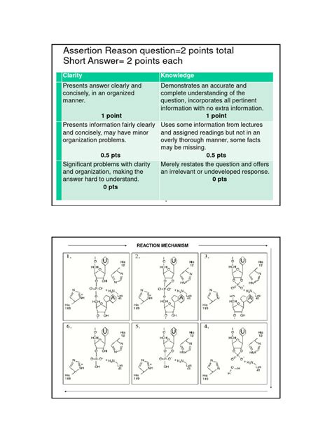 Lecture 3 Pdf Gibbs Free Energy Entropy