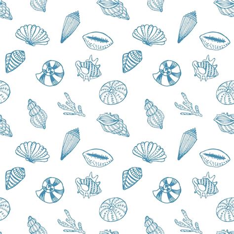 White Seashells Vectors And Illustrations For Free Download