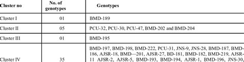 Distribution Of Genotypes Into Different Clusters Based On
