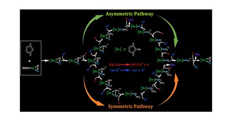 Side On Bound Beryllium Dinitrogen Complex A Precursor For Complete Conversion Of Dinitrogen To
