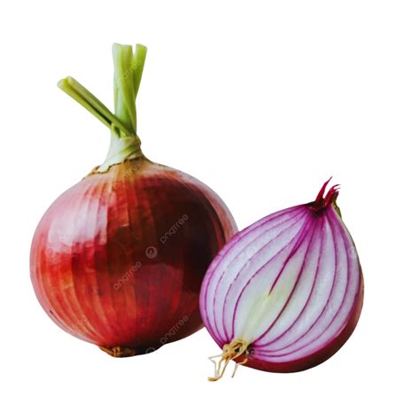 양파 클립 아트 양파 적 양파 신선한 양파 Png 일러스트 및 이미지 에 대한 무료 다운로드 Pngtree