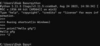 How To Exit A Python Program In The Terminal Geeksforgeeks