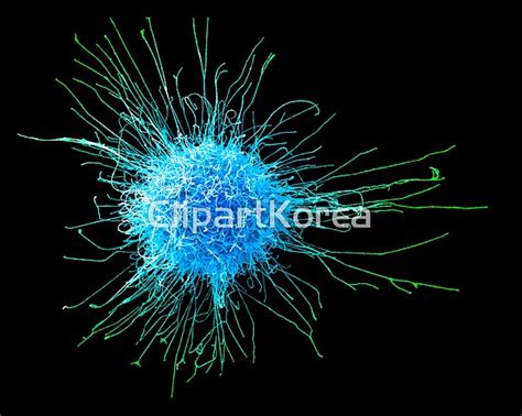 해외작가포토 클립아트코리아 통로이미지주