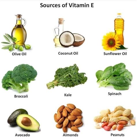 Importance Of Vitamin E In Your Daily Life Ebuddynews