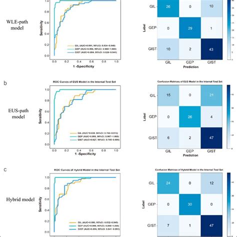 Performance Of The Multipath System To Distinguish Subtypes Of Download Scientific Diagram