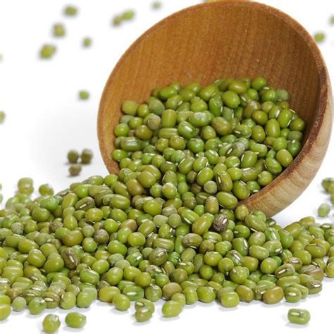 Mung Bean Seeds Vigna Radiata €180🌸🌿🌱🌳🌼