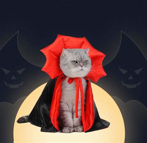 Halloween Pet Costume Cat Halloween Costume Countess Dracula Etsy