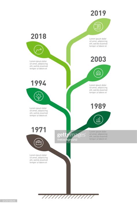 Vertical Timeline Infographics Business Growth And Social Trends