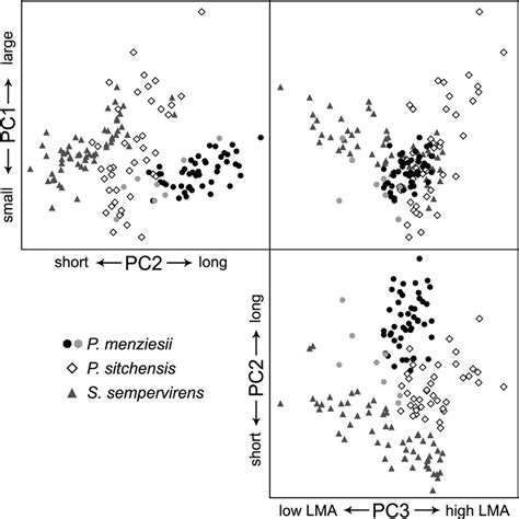 Plots Of Multi Species Leaf Pca Scores Along The Three Significant