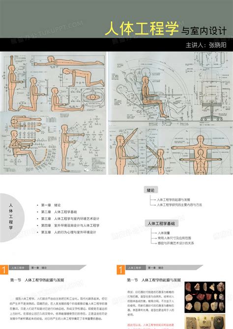 人体工程学ppt模板下载编号qxevveap熊猫办公