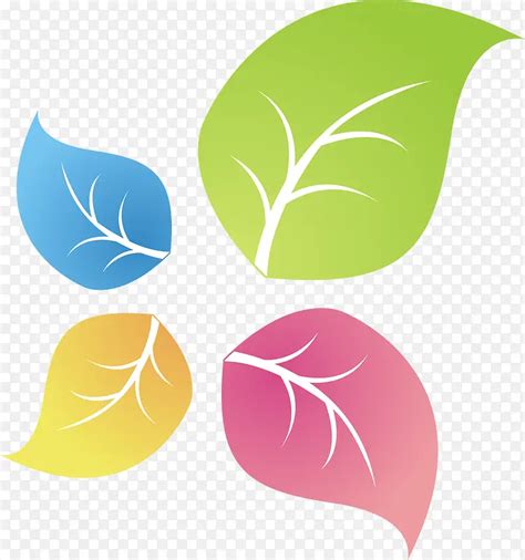 Png Png