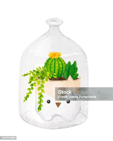 선인장과 다육 식물은 귀여운 올빼미의 형태로 세라믹 냄비에 담겨 있습니다 녹색 실내 식물입니다 보헤미안 스칸디나비아 스타일