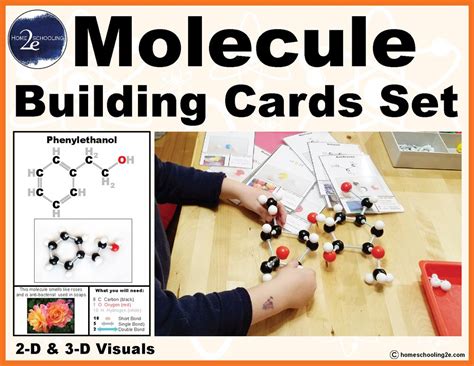 Molecule Building Cards From Homeschooling2e 3 D