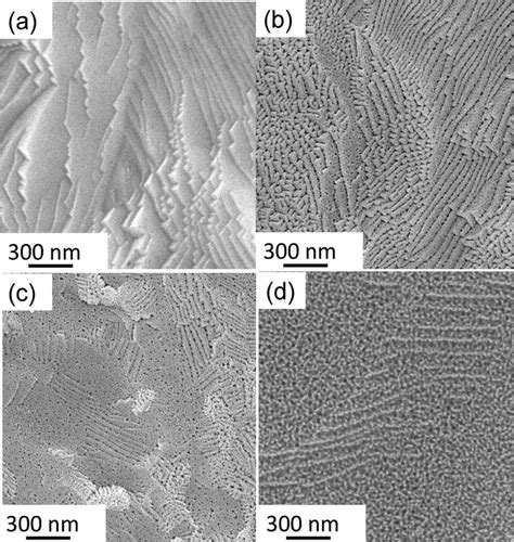 Scanning Electron Micrographs Of Surfaces Of The Anodic Films Formed By Download Scientific