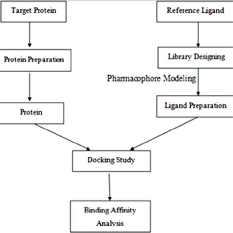Docking And Binding Affinity Analysis Of The Target Protein And
