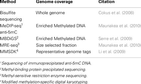 Approaches For Dna Methylation Analyses By Next Generation Sequencing